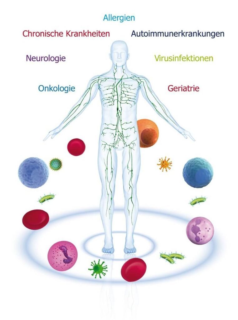 Mikroimmuntherapie & das Abwehrsystem